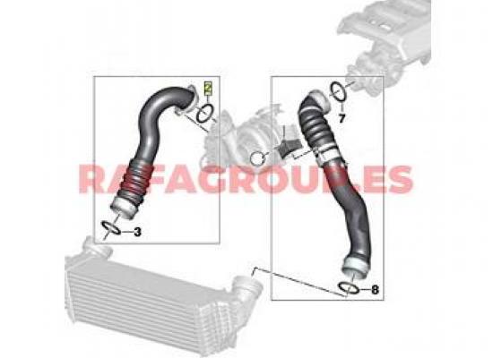 11617801222 - Junta anular, conducto aire admisión - RAFA GROUP